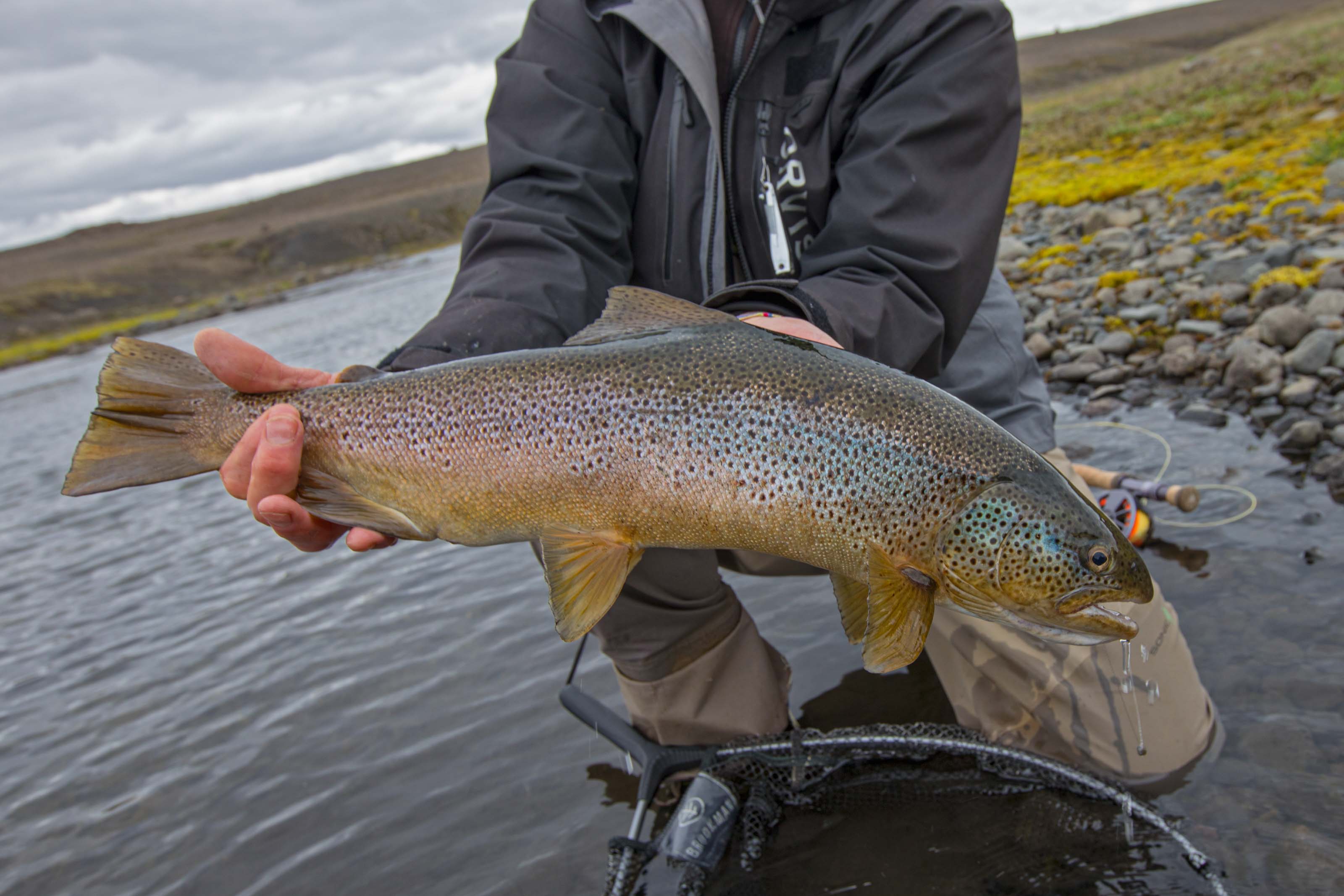 The Icelandic Highlands | Fly fishing Iceland for Ice Age brown trout ...