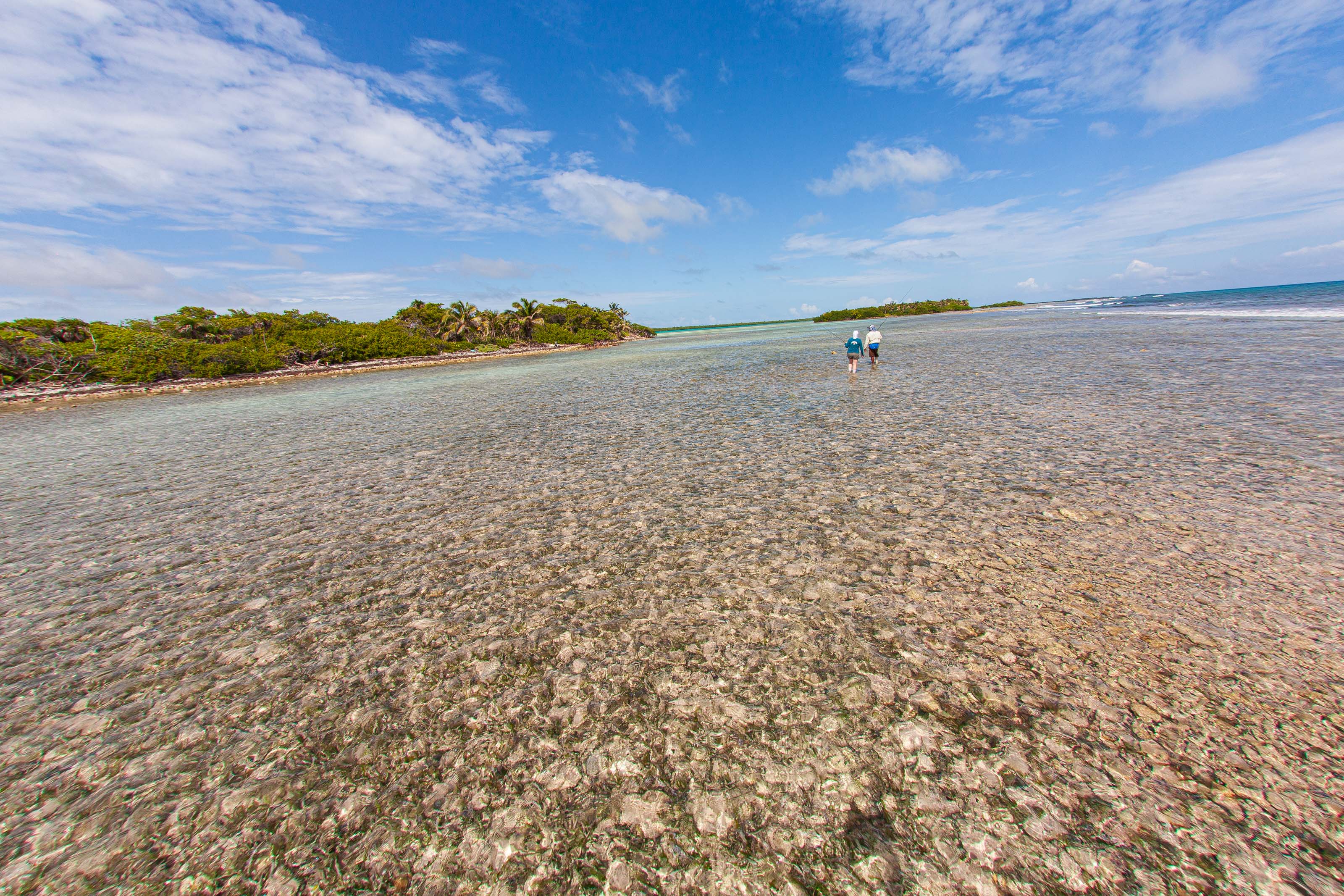 Turneffe Flats | Belize fly fishing for permit, bonefish, tarpon and ...
