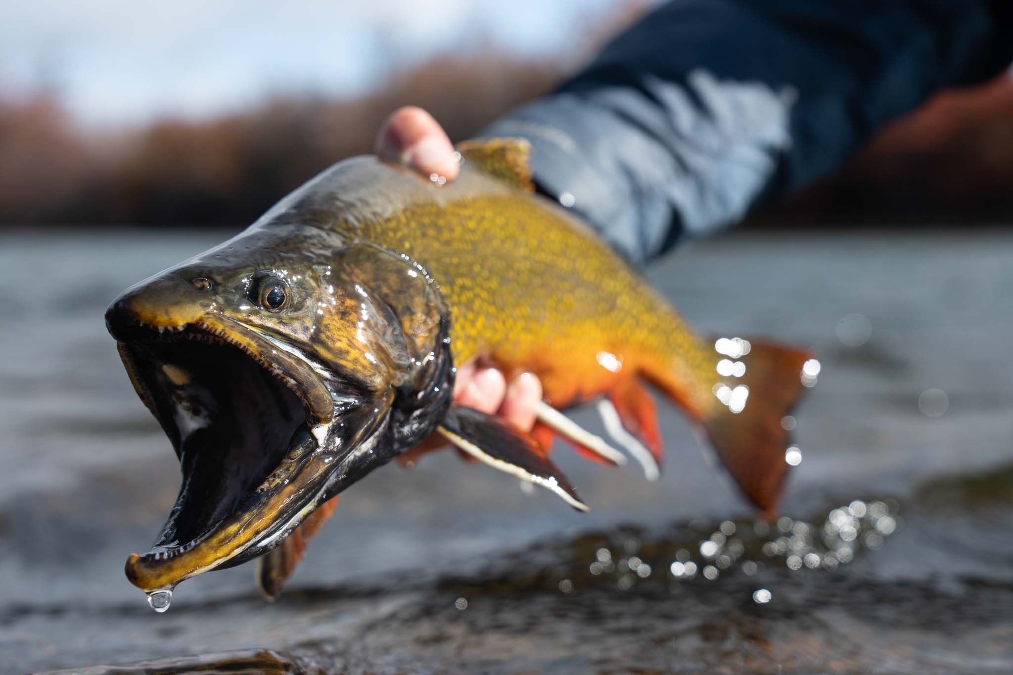 Hatch Adventure Travel | Fly fishing and adventure travel