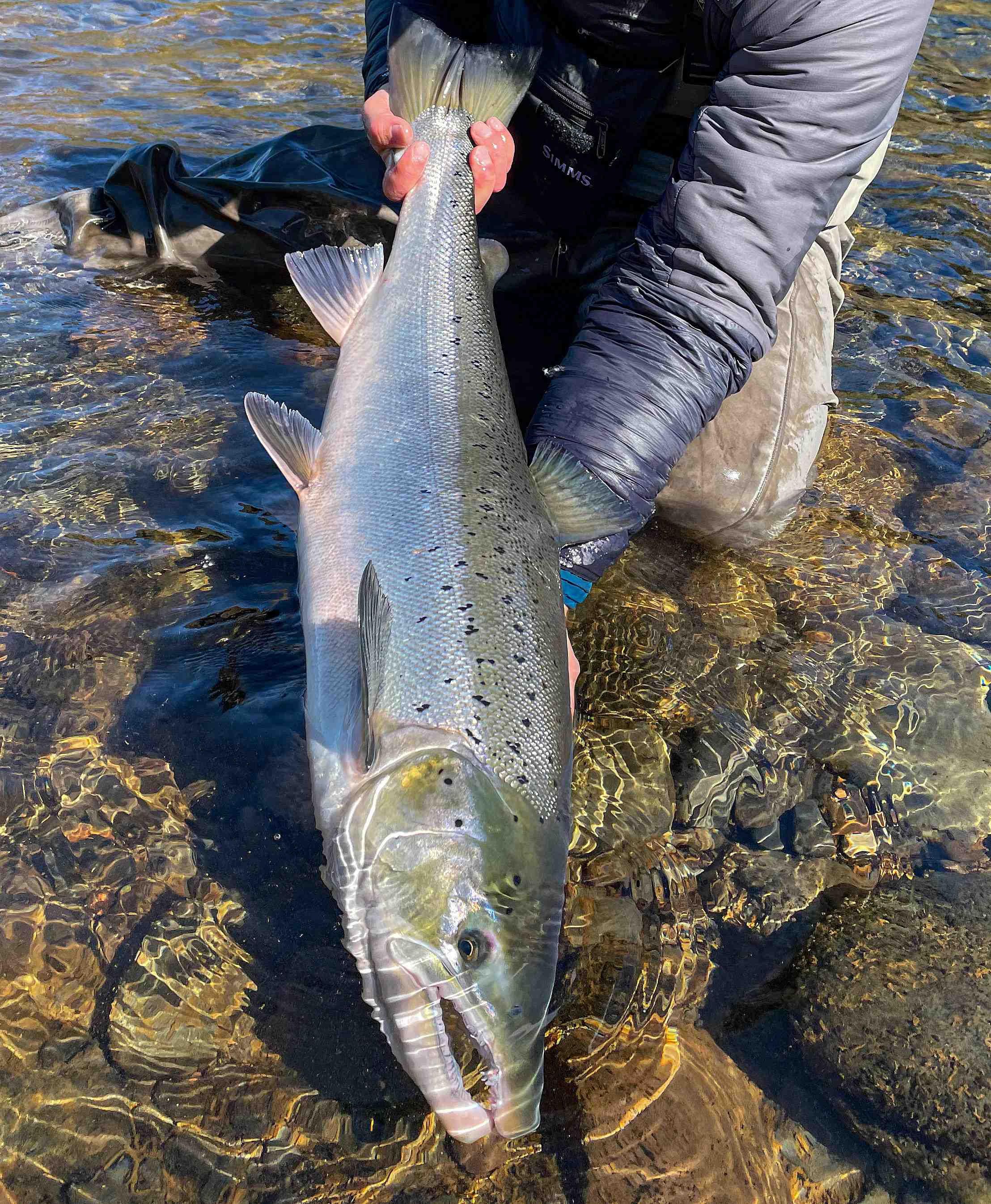 Hölkná | Private Atlantic salmon fly fishing | Hatch Adventure Travel